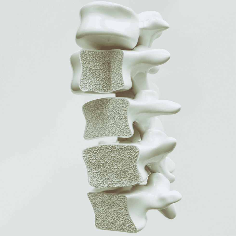 Physiotherapie bei Osteoporose | Neue Physio